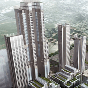 Projects – CADS Consulting